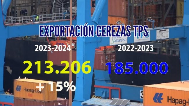 TPS bate récord histórico en la transferencia de cerezas con ...
